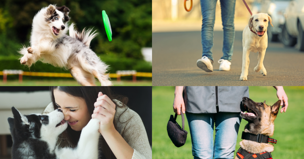 Strengthening the Bond: 10 Ways to Build a Deeper Connection with Your ...